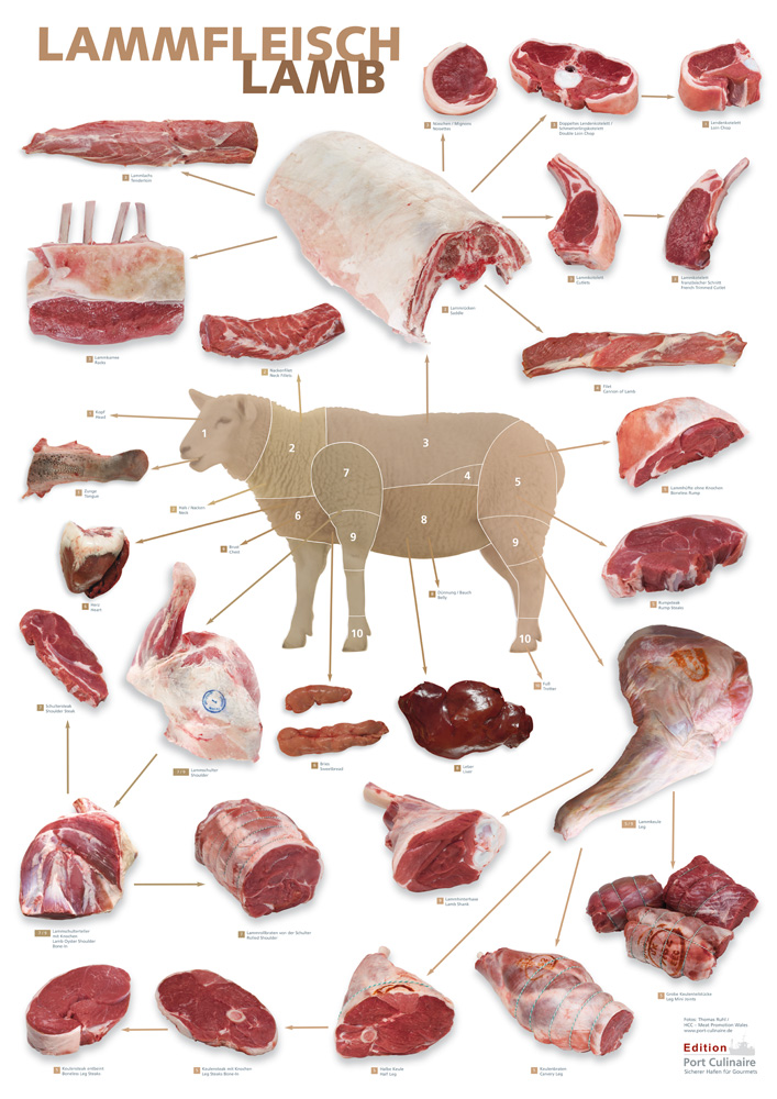Warenkundeposter Lammfleisch DIN A1 – Port Culinaire